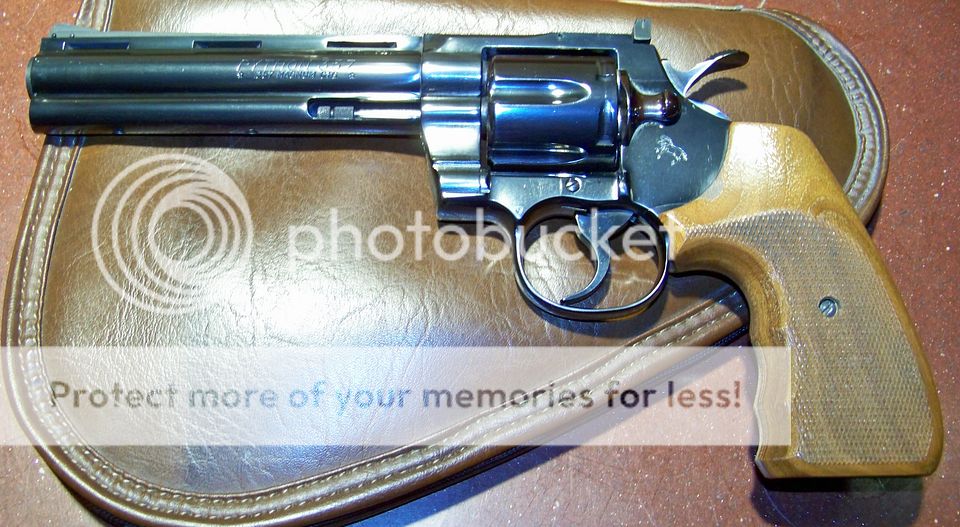 Found a Nice Python Today | 1911Forum